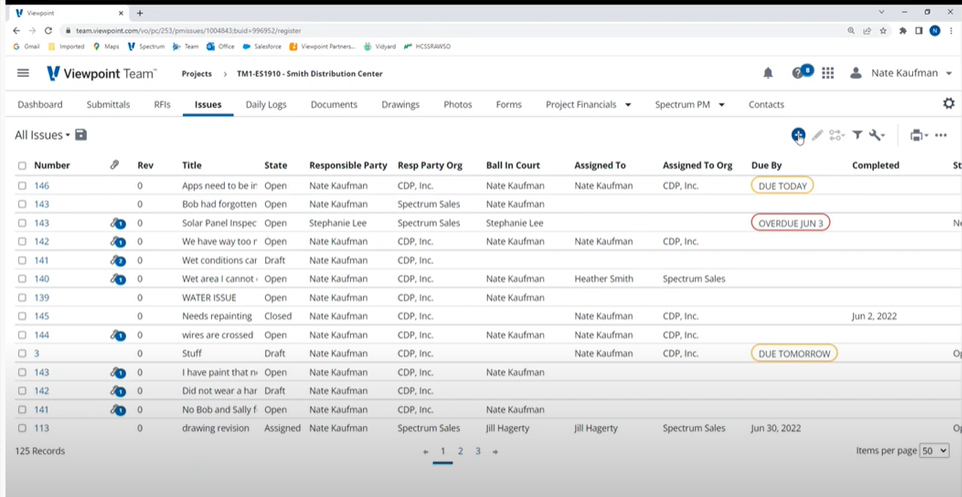 Issue Management in Viewpoint Team | CDP Inc. - Project Management ...
